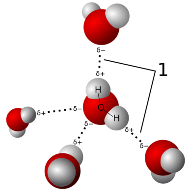 Electronegativity, Polarity, Interaction, and Resonance | Concise ...