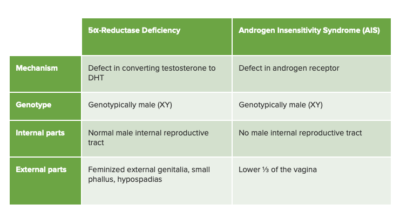 5-alpha-reductase Deficiency | Concise Medical Knowledge