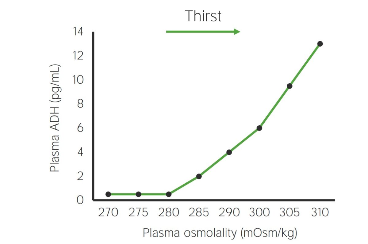 Renal Sodium and Water Regulation | Concise Medical Knowledge