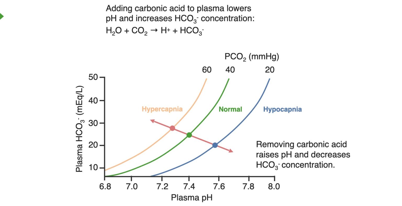 Respiratory Acidosis | Concise Medical Knowledge