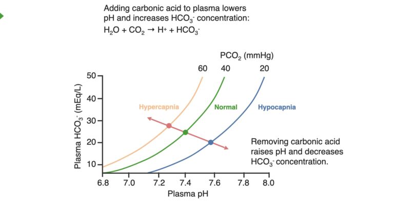 Respiratory Acidosis | Concise Medical Knowledge
