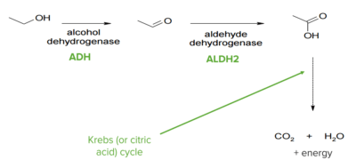 Chemical Compound: Alcohols – General Formula and Functional Group ...