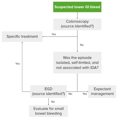 Gastrointestinal Bleeding | Concise Medical Knowledge