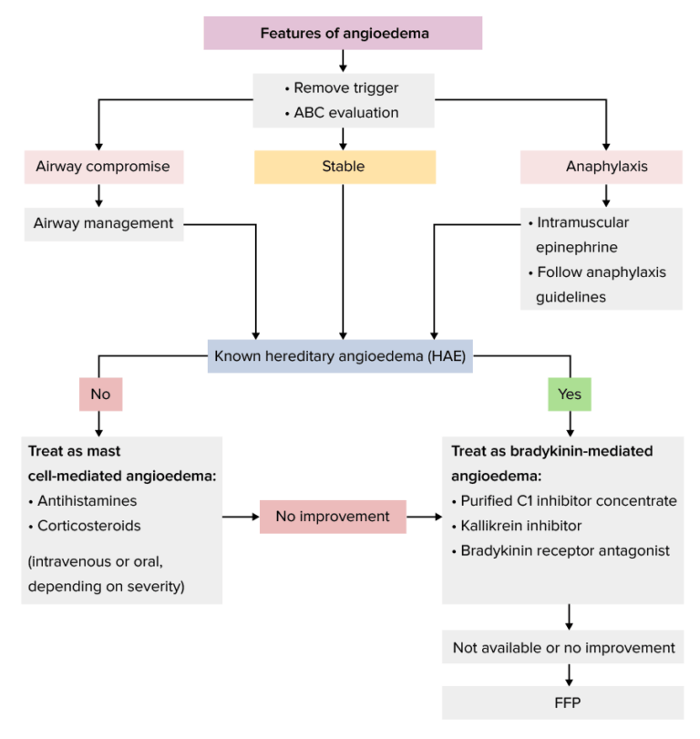Angioedema (Clinical) | Concise Medical Knowledge