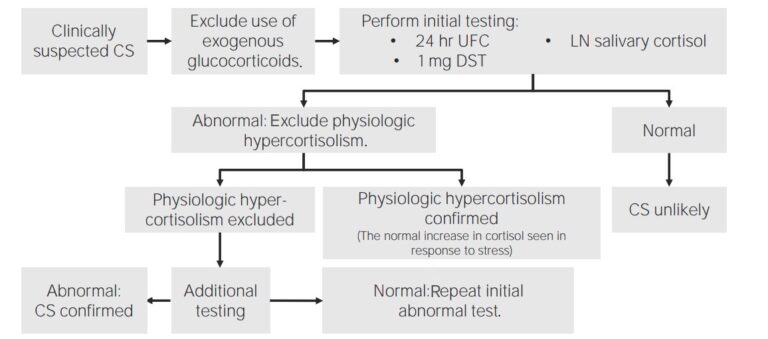 Cushing Syndrome | Concise Medical Knowledge