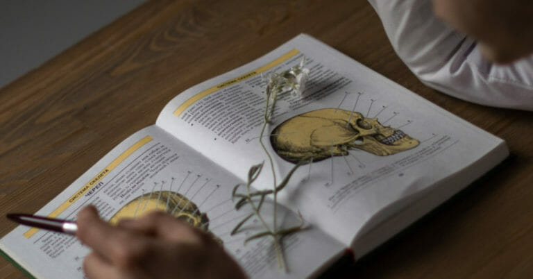 What are Shelf Exams, and How Do I Study for Them? | Lecturio Medical