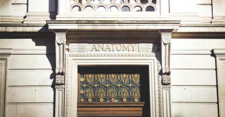 How to Get Through Cadaver Lab | Lecturio Medical