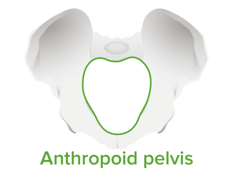 Normal and Abnormal Labor | Concise Medical Knowledge