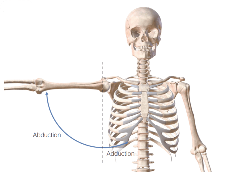 Anatomical Terminology | Concise Medical Knowledge