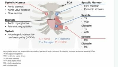 How to Effectively Use Lecturio Concept Pages | Lecturio