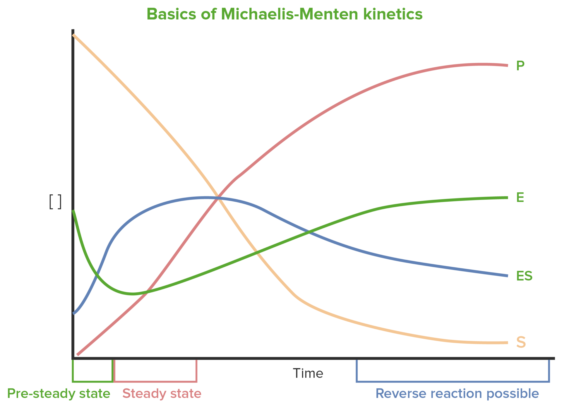 Enzyme Kinetics | Concise Medical Knowledge
