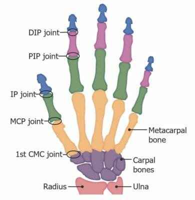 Examination of the Upper Limbs | Concise Medical Knowledge