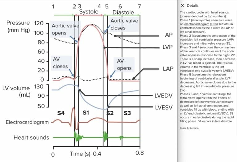 How to Effectively Use Lecturio Concept Pages | Lecturio