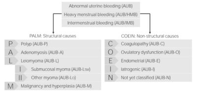 Abnormal Uterine Bleeding | Concise Medical Knowledge
