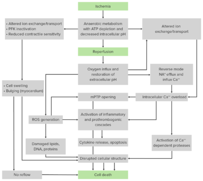 Ischemic Cell Damage | Concise Medical Knowledge