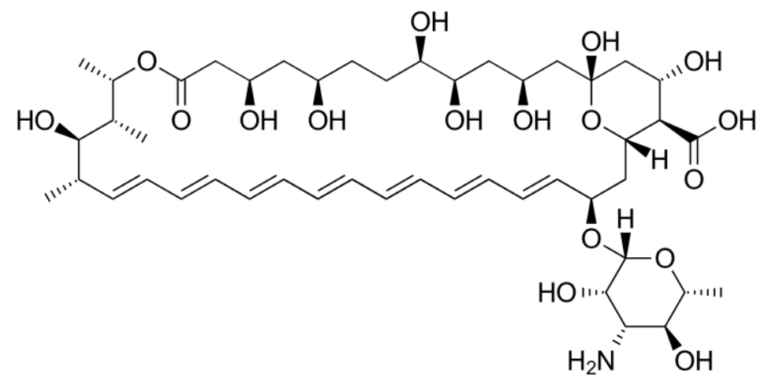 Polienos | Concise Medical Knowledge