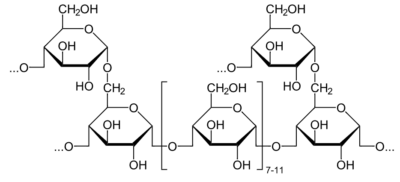 Glycogenesis & Glycogenolysis | Concise Medical Knowledge