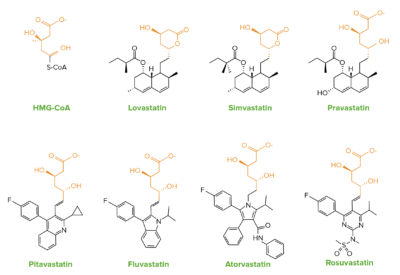 Statins | Concise Medical Knowledge