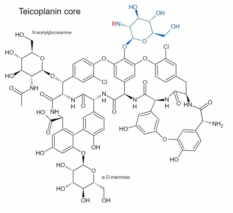 Glycopeptides | Concise Medical Knowledge