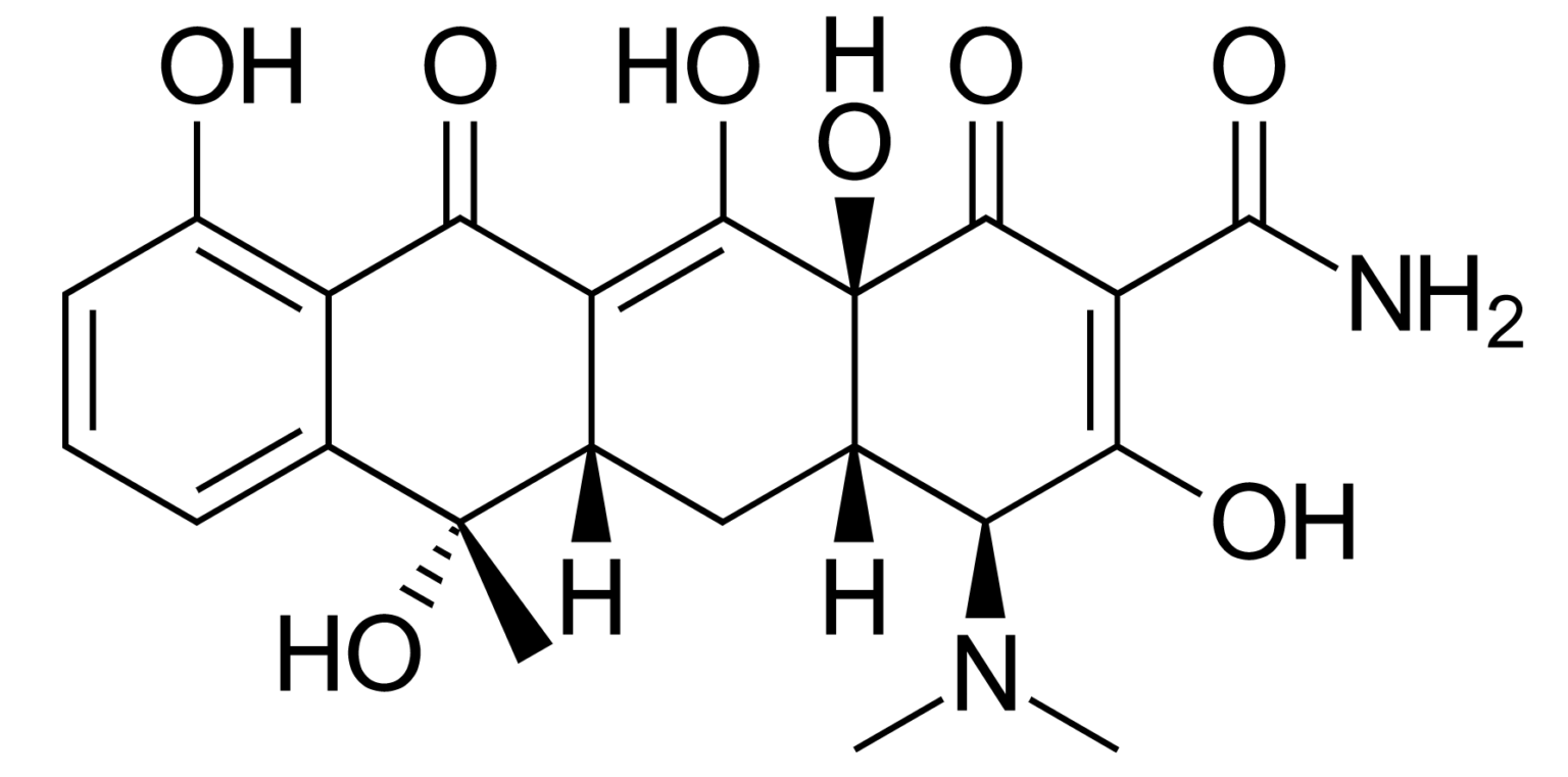 Tetracyclines | Concise Medical Knowledge