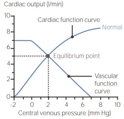 Venous Function | Concise Medical Knowledge
