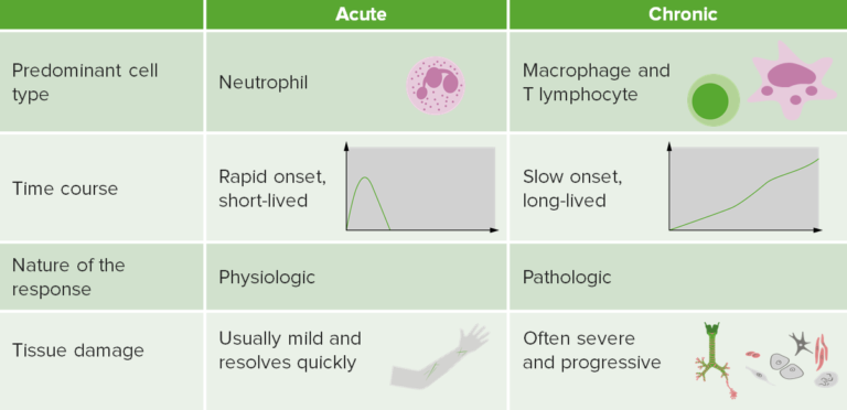Inflamación Concise Medical Knowledge