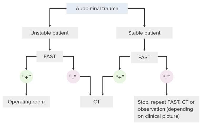 Focused Assessment with Sonography for Trauma (FAST) | Concise Medical ...
