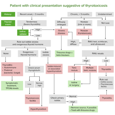 Thyrotoxicosis and Hyperthyroidism | Concise Medical Knowledge