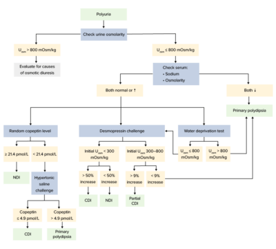 Diabetes Insipidus (Clinical) | Concise Medical Knowledge