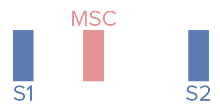 Heart Sounds | Concise Medical Knowledge