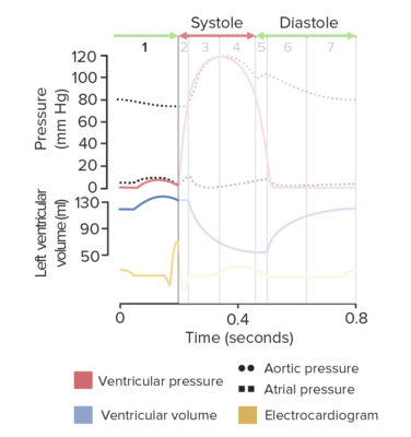 Cardiac Cycle | Concise Medical Knowledge