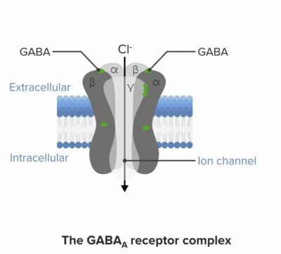 Spasmolytics | Concise Medical Knowledge