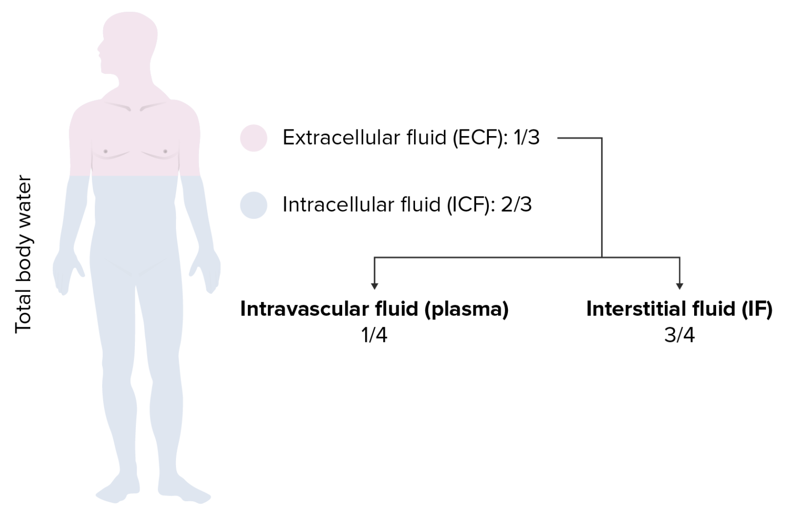 IV Fluids: Types and Indications | Concise Medical Knowledge