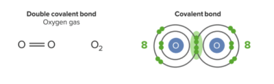 Chemical Bonding: Intramolecular and Intermolecular Bonds | Concise ...