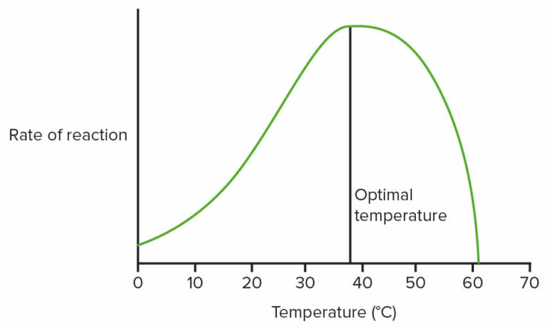 Enzyme Kinetics | Concise Medical Knowledge