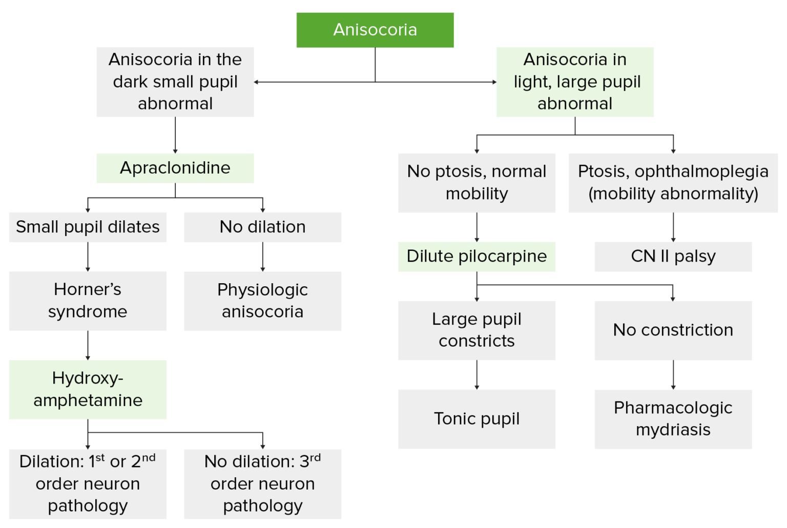 Pupil: Physiology and Abnormalities | Concise Medical Knowledge