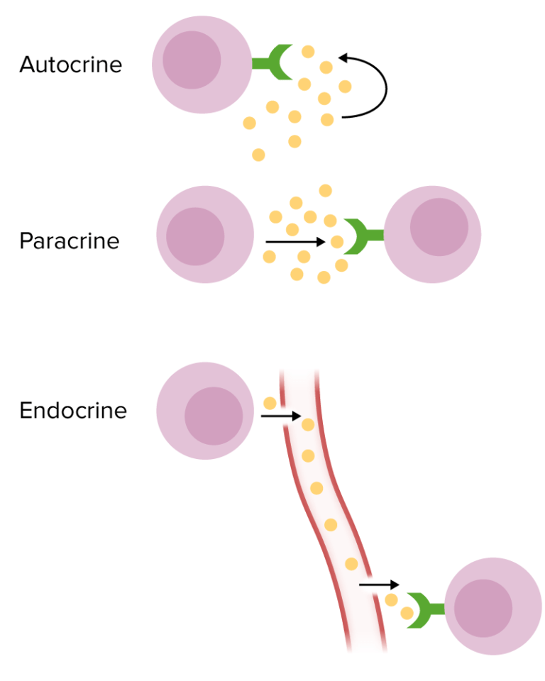 Innate Immunity: Barriers, Complement, and Cytokines | Concise Medical ...