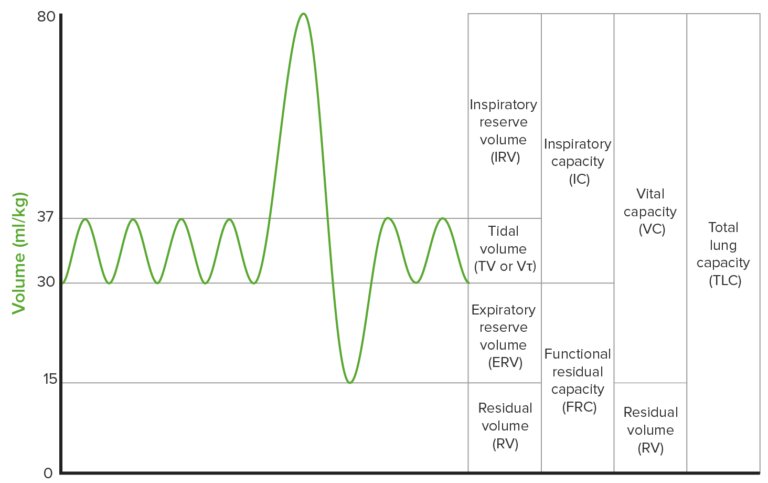 Pruebas de Función Pulmonar | Concise Medical Knowledge