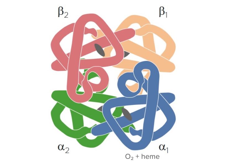 Methemoglobinemia | Concise Medical Knowledge