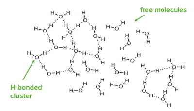 Biological Interactions: Drug and Receptor Interaction, Agonism and ...