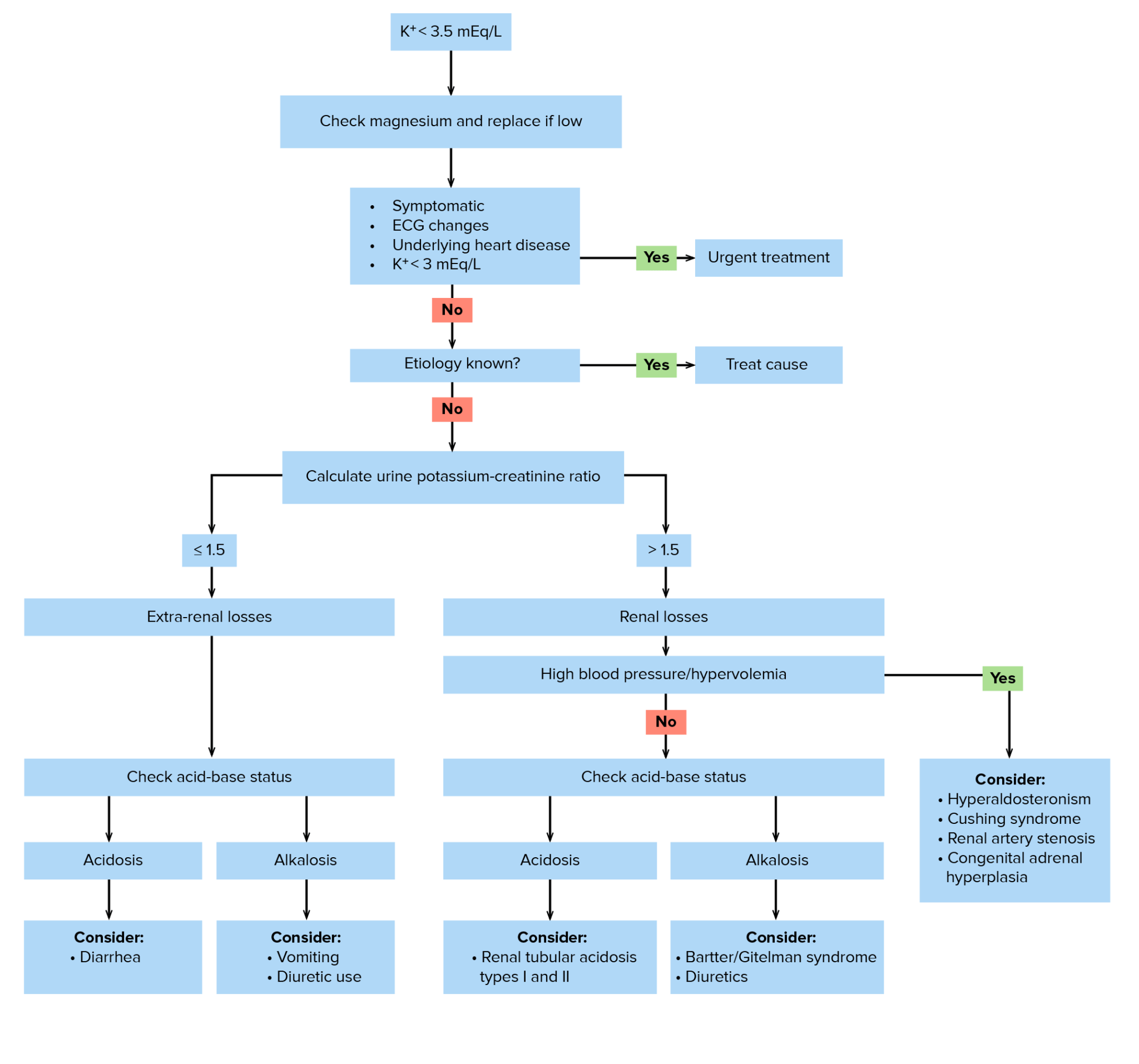 Hypokalemia (Clinical) | Concise Medical Knowledge