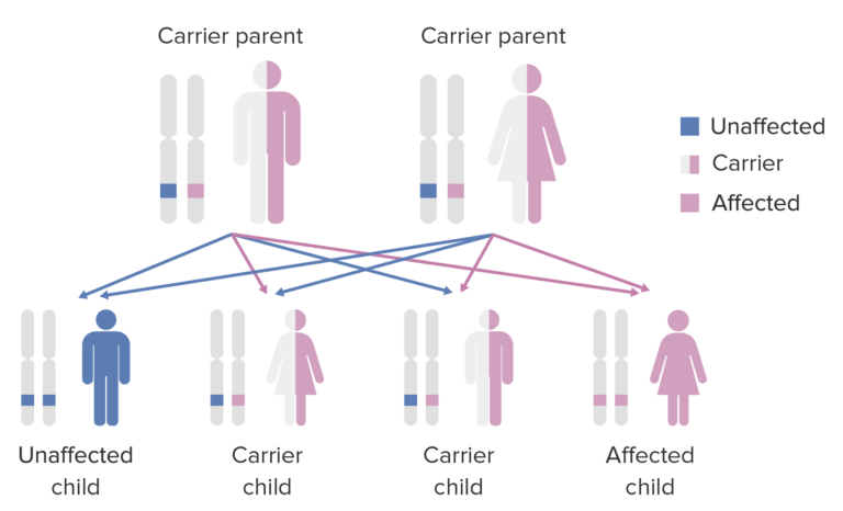 Autosomal Recessive and Autosomal Dominant Inheritance | Concise ...
