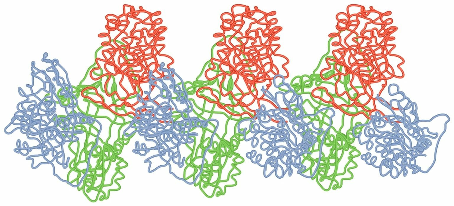 Alpha-1 Antitrypsin (AAT) Deficiency | Concise Medical Knowledge