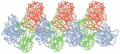 Alpha-1 Antitrypsin (AAT) Deficiency | Concise Medical Knowledge