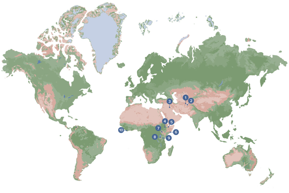Lecturio Medical Education Development Initiative (MEDI) Online ...