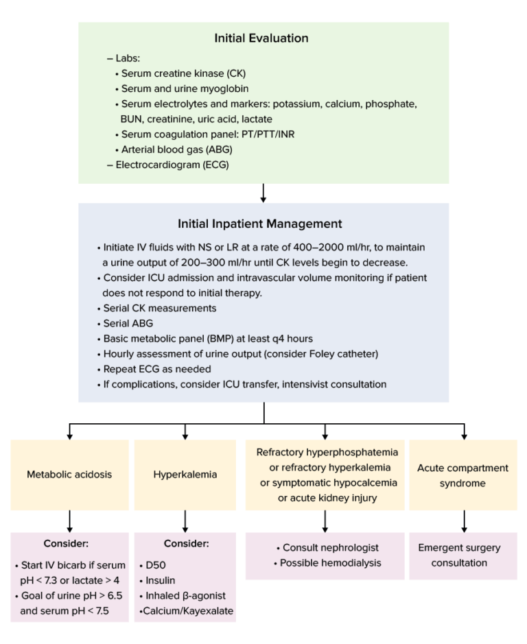 Rhabdomyolysis (Clinical) | Concise Medical Knowledge