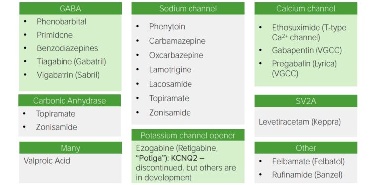 Convulsiones | Concise Medical Knowledge