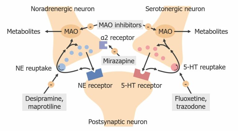 Tricyclic Antidepressants | Concise Medical Knowledge
