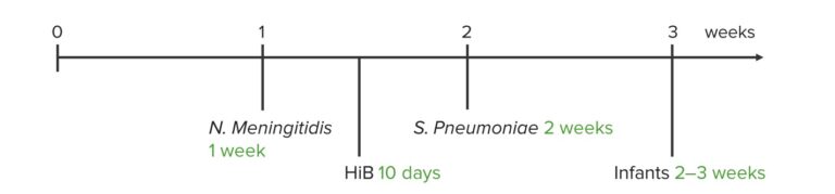 Meningitis en Pediatría | Concise Medical Knowledge