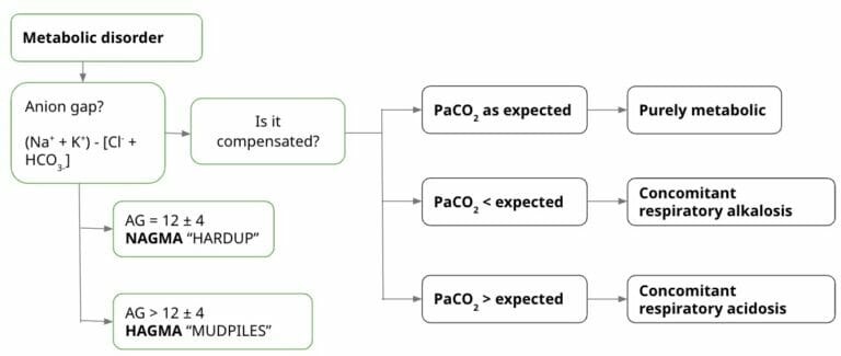 Complete ABG Interpretation Guide | Lecturio Medical